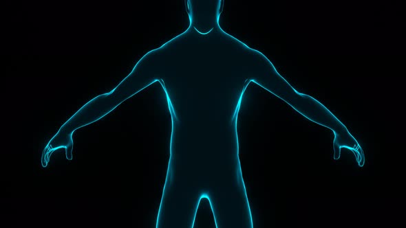 Human body. Human model rotation., Motion Graphics | VideoHive