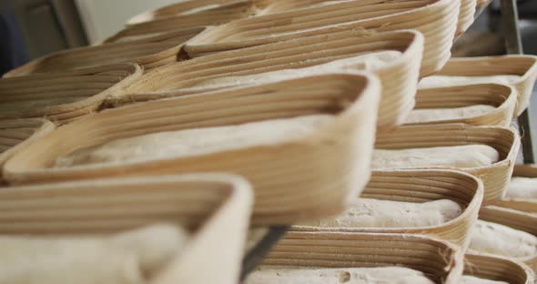 Animation of bread in molds prepared for baking, Stock Footage | VideoHive