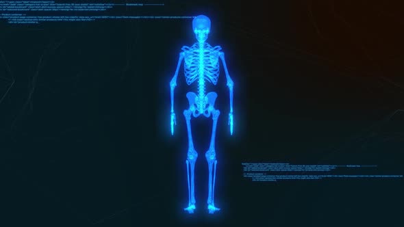 Hologram Skeleton, Motion Graphics | VideoHive