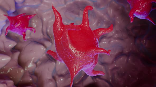 Animated Platelets, blood cell, 3d render, Motion Graphics | VideoHive