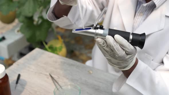 Agricultural Research Scientist Using Brix Refractometer Sweet Test ...