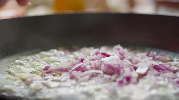 Frying Garlic and Red Onion in Pan, Stock Footage | VideoHive