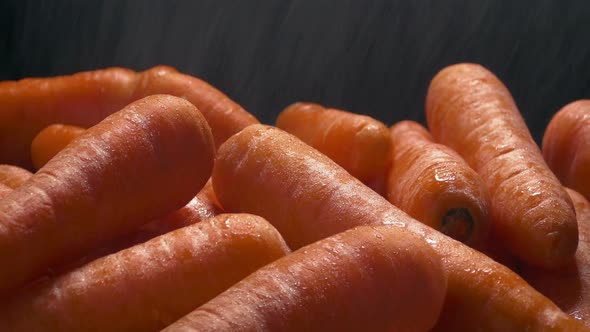 Carrots Are Cleaned In Fine Water Spray, Stock Footage | VideoHive