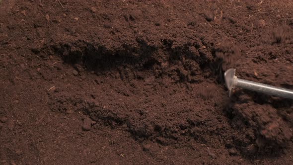 Farmer preparing ground hoeing with trowel and planting vegetable ...