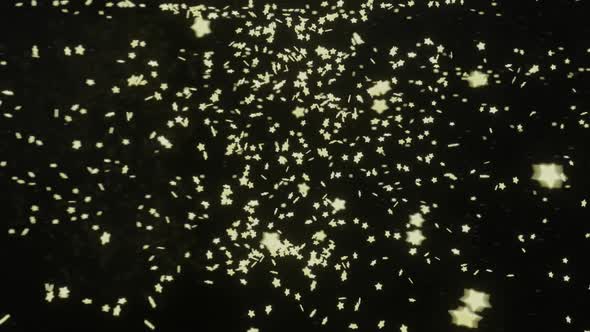 Particles Stars, Motion Graphics | VideoHive