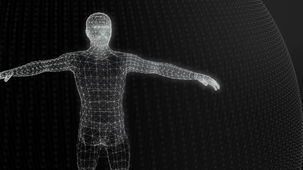 3D Human, Motion Graphics | VideoHive