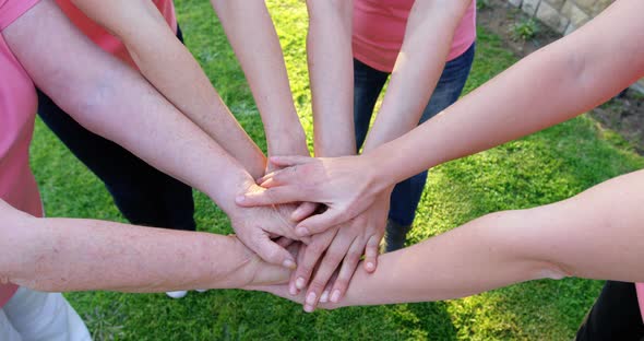 Group of women forming handstack in the garden 4k, Stock Footage ...