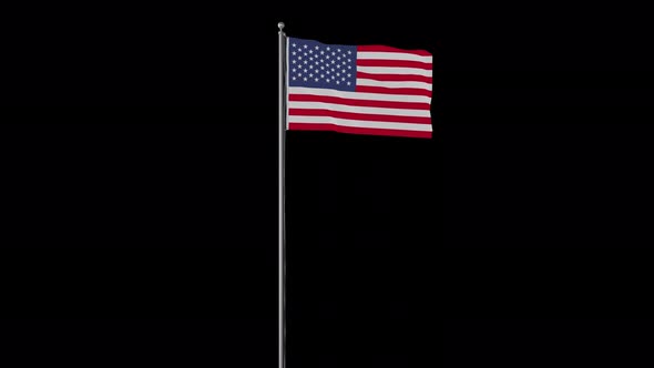 Usa Small Flag Pole Loops With Alpha, Motion Graphics | VideoHive