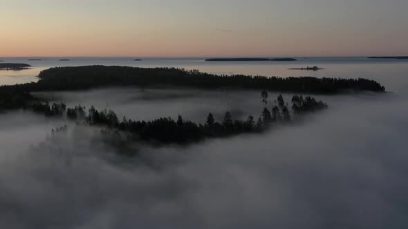 Thick Forest Fog Aerial Hyperlapse, Stock Footage | VideoHive