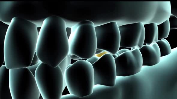 Animated Oral Digestion, Motion Graphics | VideoHive