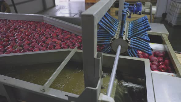 Automatic Washing of Apples in Production, Stock Footage | VideoHive