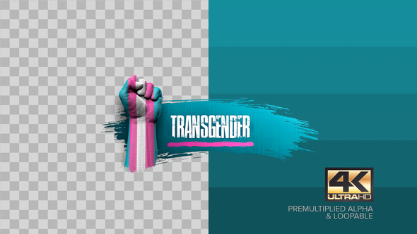 Transgender Gender Sign Background Animation 4k, Motion Graphics ...