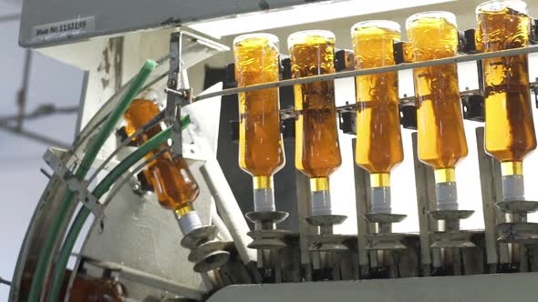 Filling Line for Production of Alcoholic Beverages. Glass Bottles in ...