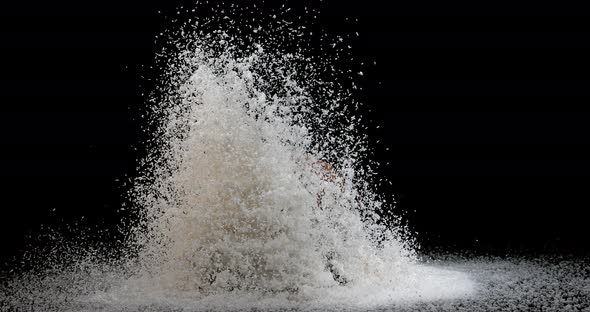 Coconut, cocos nucifera, Fruit and Powder Exploding against Black ...