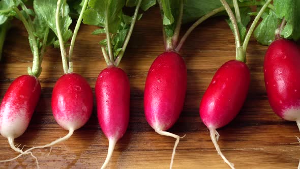 Radish Fruits 5, Stock Footage | VideoHive