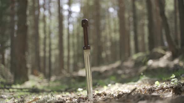 Historical wrought iron sword., Stock Footage | VideoHive