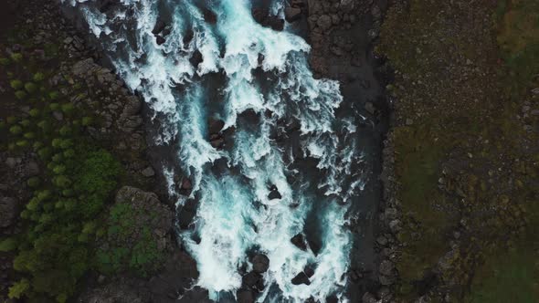 Opening A Bottle Of Champagne In Slow Motion by Stockagent_io | VideoHive