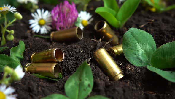 Bullet casings from a 5mm pistol fall to the ground and chamomile ...