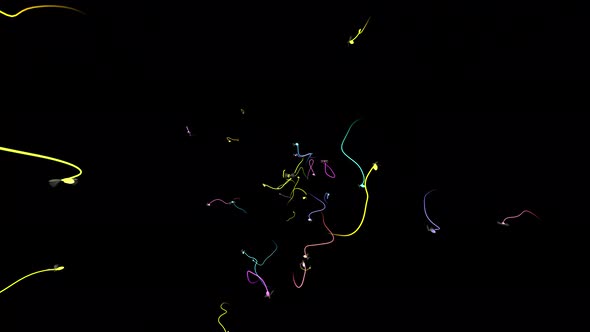 Animated Flies 4K, Motion Graphics | VideoHive