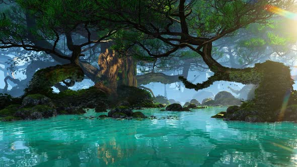 Taiga Forest, Motion Graphics | VideoHive