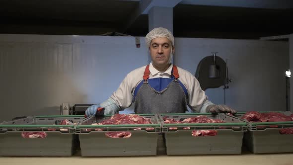 Portrait of Adult Butcher in White Uniform and Blue Apron in Meat ...