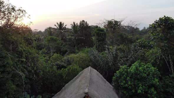 Drone shot of a treehouse during sunset in Bali, Indonesia., Stock Footage