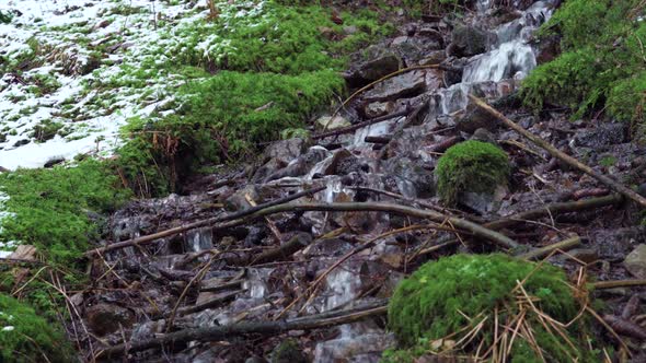 Water draining from the mountains in a black forest., Stock Footage
