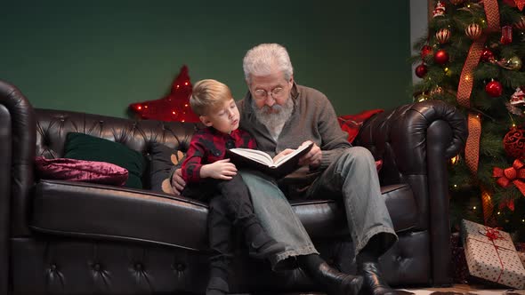 Grandfather Reads a Fairy Tale to His Grandson Before Bedtime, Stock ...