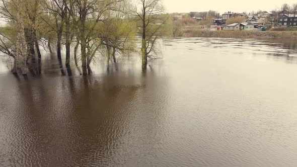 Huge Spring Flood River Overflow Flooded Trees Aerial View, Stock Footage
