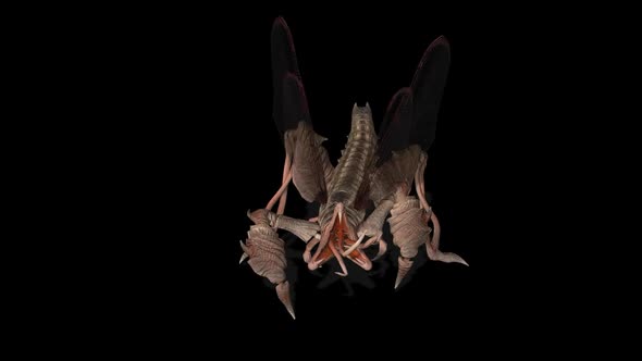 Locust Monster Walk , Motion Graphics | VideoHive