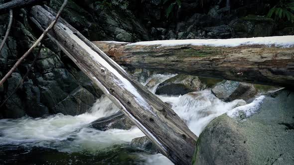Fallen Trees Over River With Snow On Them, Stock Footage | VideoHive