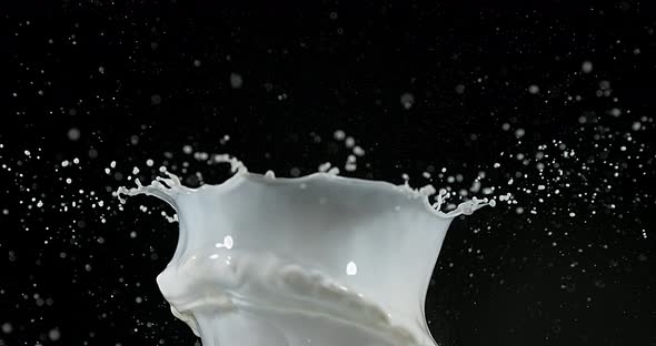 Golf's Ball and Exploding Milk against Black Background, slow motion 4K ...