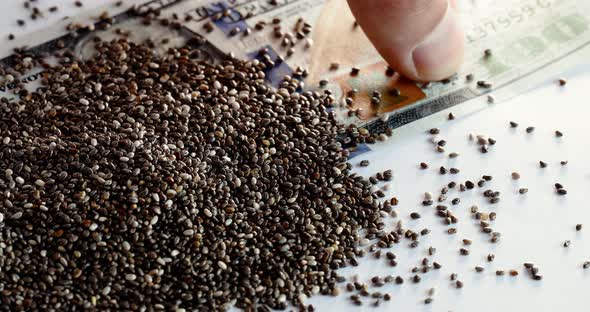 A Hand Pulls Out a 100 Dollar Bill Covered with Chia Seeds, Stock Footage