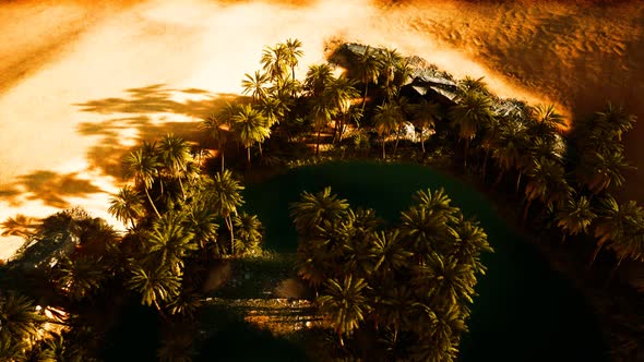 Top Down Aerial View of Oasis in Desert, Motion Graphics | VideoHive