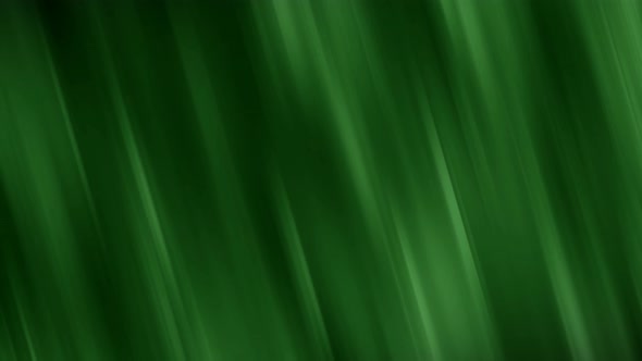 Green Animated Background Animation, Motion Graphics | VideoHive