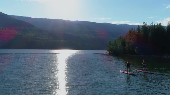 Couple rowing a stand up paddle boad in the river 4k, Stock Footage
