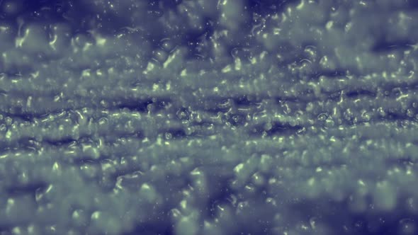 Flying Molecules, Motion Graphics | VideoHive