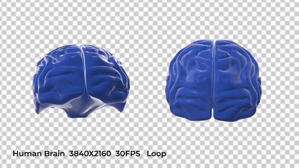 Virtual Studio D116 Pro by MUS_GRAPHIC_ | VideoHive