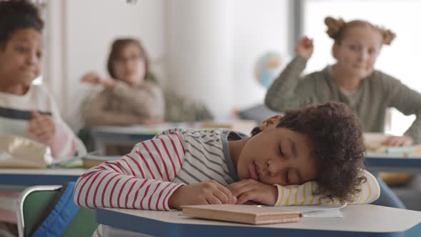 Mixed-Race School Boy Napping in Class, Stock Footage | VideoHive