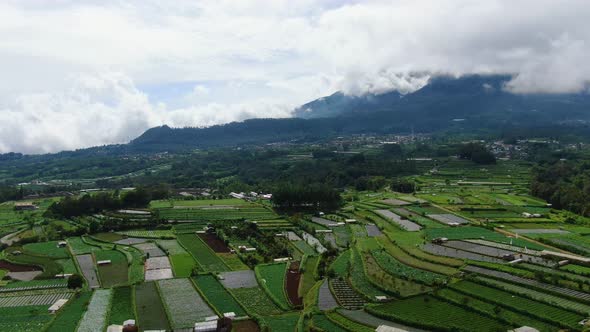 Picturesque rice fields in Central Java by Mount Telomoyo Indonesia ...