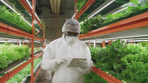 Portrait Of Male Agronomic Engineer At Vertical Farm, Stock Footage