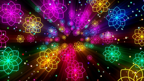 Colorful Flowers Background, Motion Graphics | VideoHive