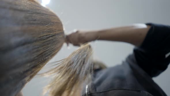 Low Angle of Hairdresser Separating Long Hair Strands by chamanexperience