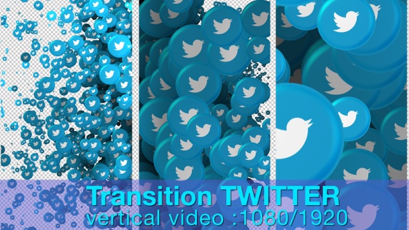Transition Twitter Vertical Video, Motion Graphics | VideoHive