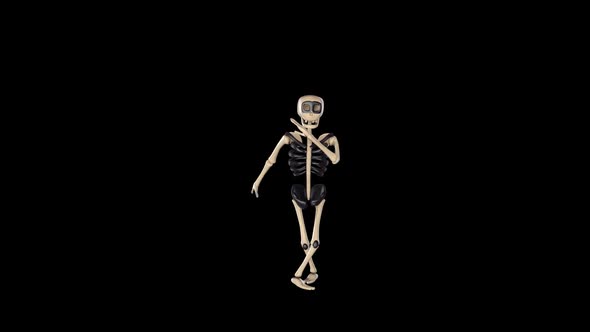 Mexican Dancing Skeleton Loop, Motion Graphics | VideoHive