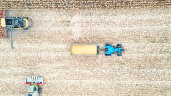 Aerial View of Tractor Transporting Corn Cargo at Field During ...