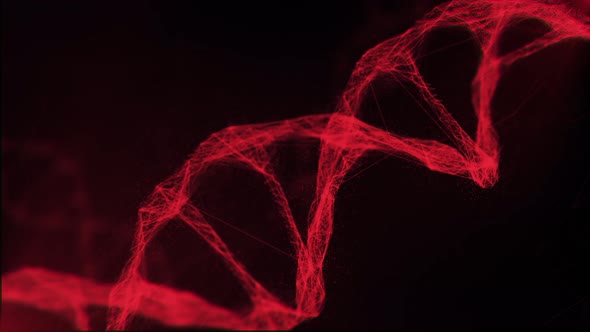 Red Binary Molecules Structure DNA Model Rotating Medical 3D Animation ...