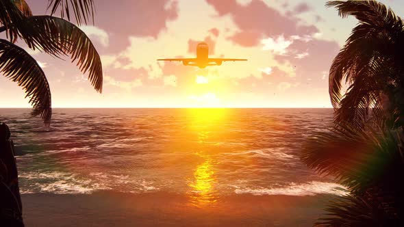 The Plane Flies Over a Tropical Island, Motion Graphics | VideoHive