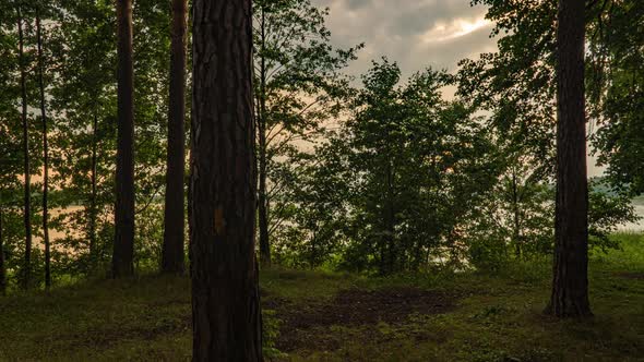 Beautiful Summer Sunset in the Forest By the Forest Lake Hyperlapse ...