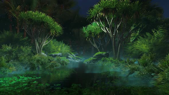 Evening In The Tropical Jungle, Motion Graphics | VideoHive